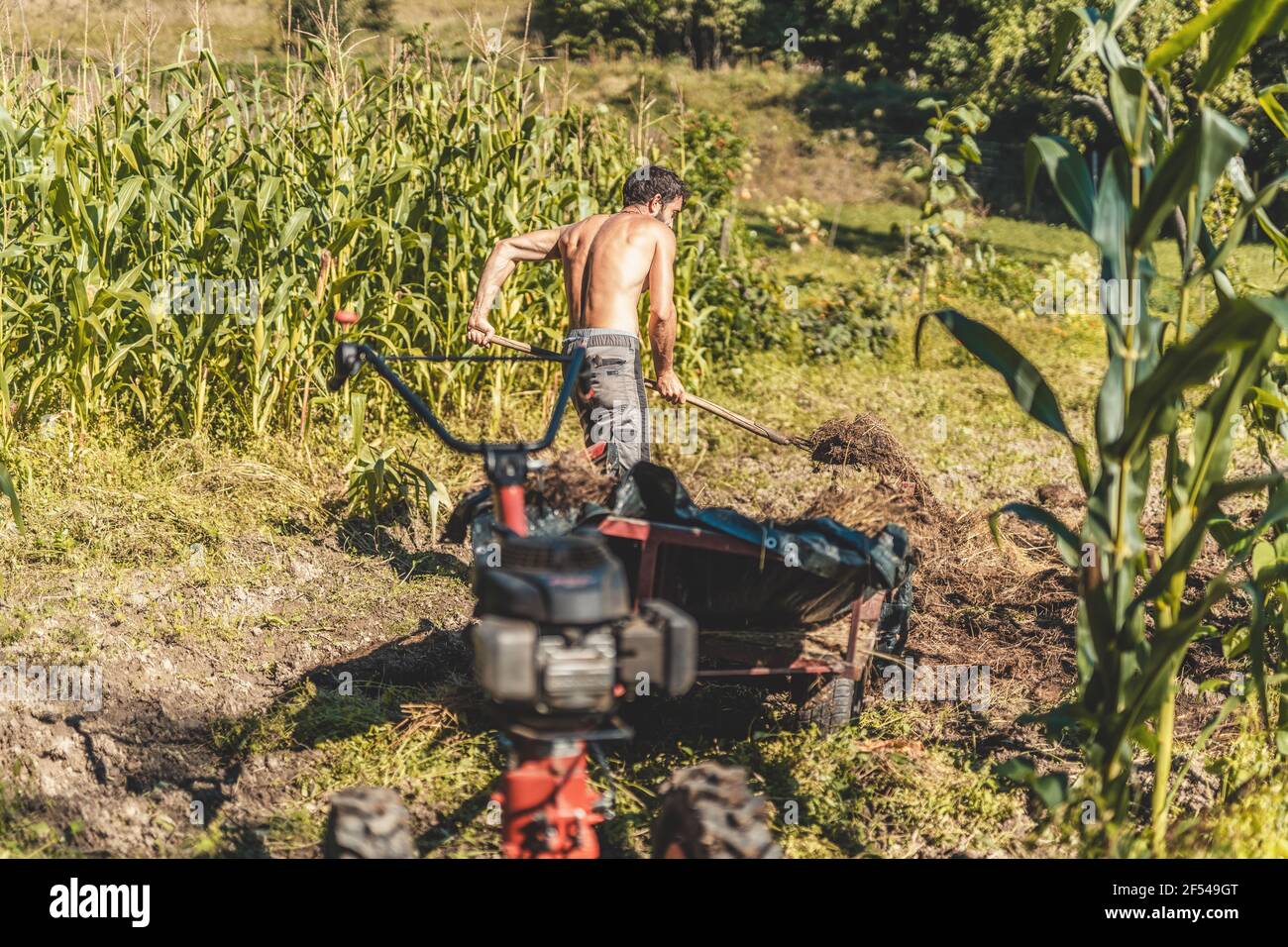man on a small tractor, farmer at work Stock Photo - Alamy