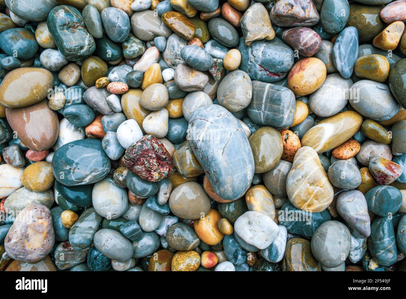 Colored stones on the beach soaked by the textura water Stock Photo - Alamy