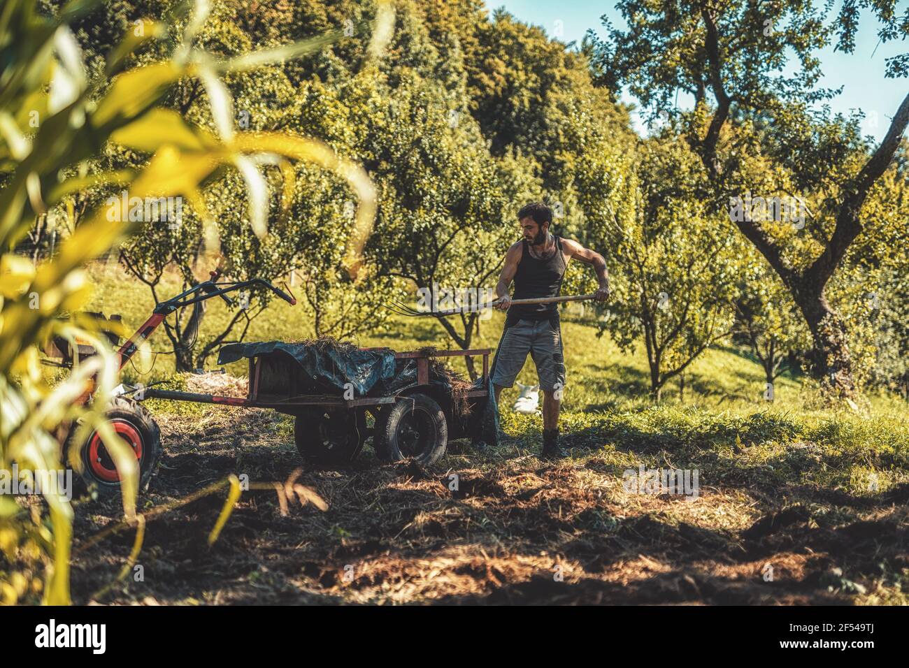 man on a small tractor, farmer at work Stock Photo - Alamy