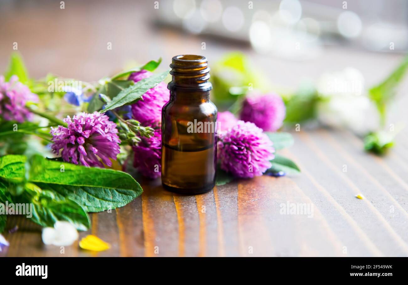Essential oil bottle with medicinal plants and flowers, aromatherapy ...