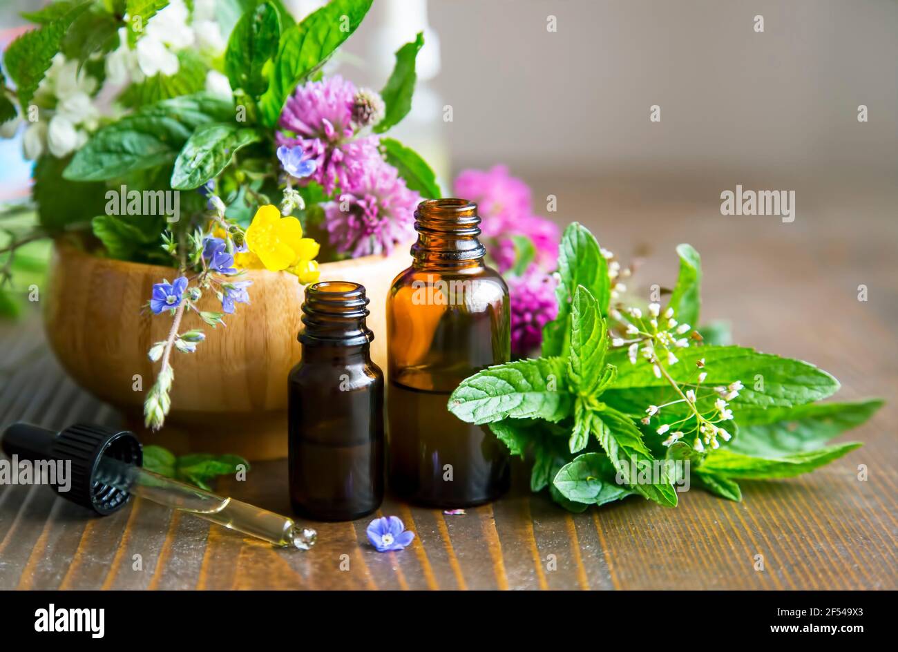 Essential oil bottles with medicinal plants and flowers, aromatherapy ...