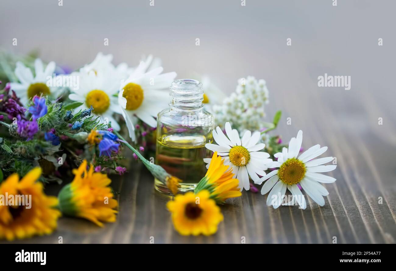 Essential oil bottle with medicinal plants and flowers, aromatherapy ...