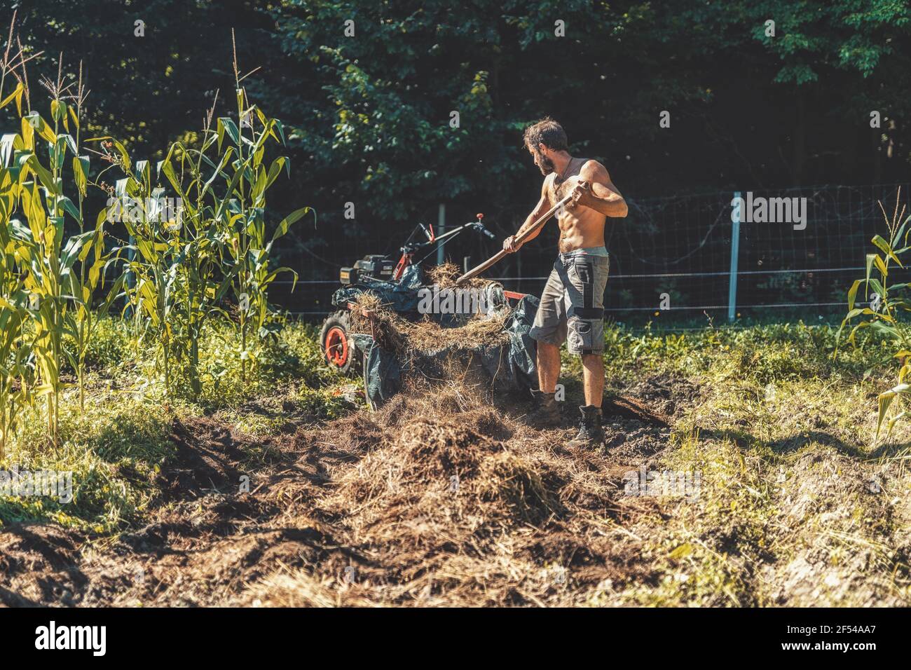 man on a small tractor, farmer at work Stock Photo - Alamy