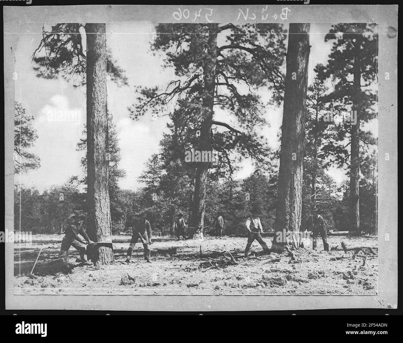 Destroying the Giants Stock Photo - Alamy