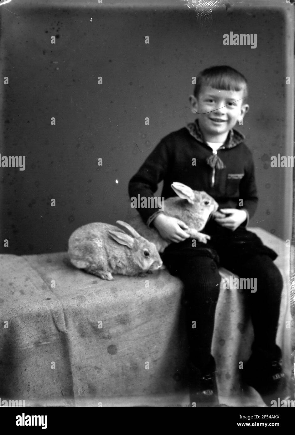 Picture rabbit Black and White Stock Photos & Images - Alamy