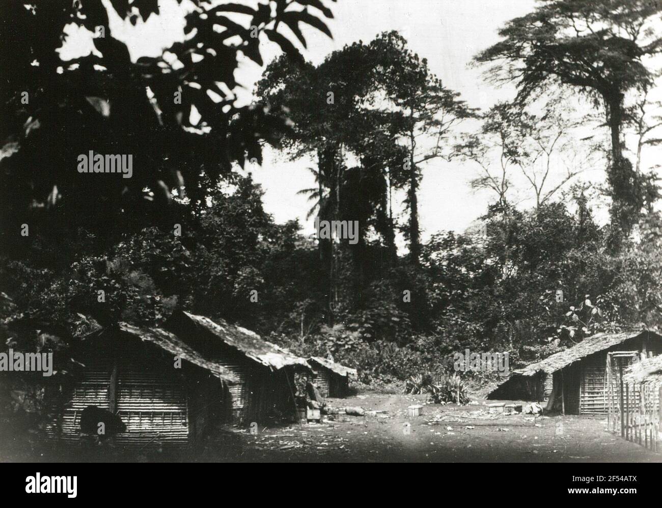 Cameroon. Available settlement with saddle roof huts of the BAFO in the ...