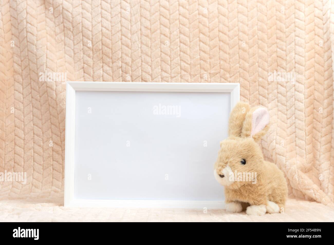 Fluffy beige rabbit animal on surface Stock Photo - Alamy