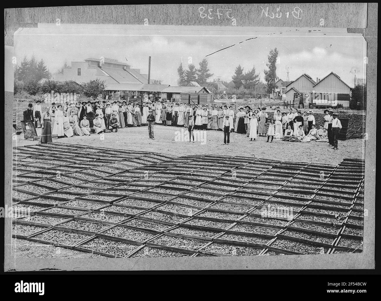 Drying technique Black and White Stock Photos & Images - Alamy