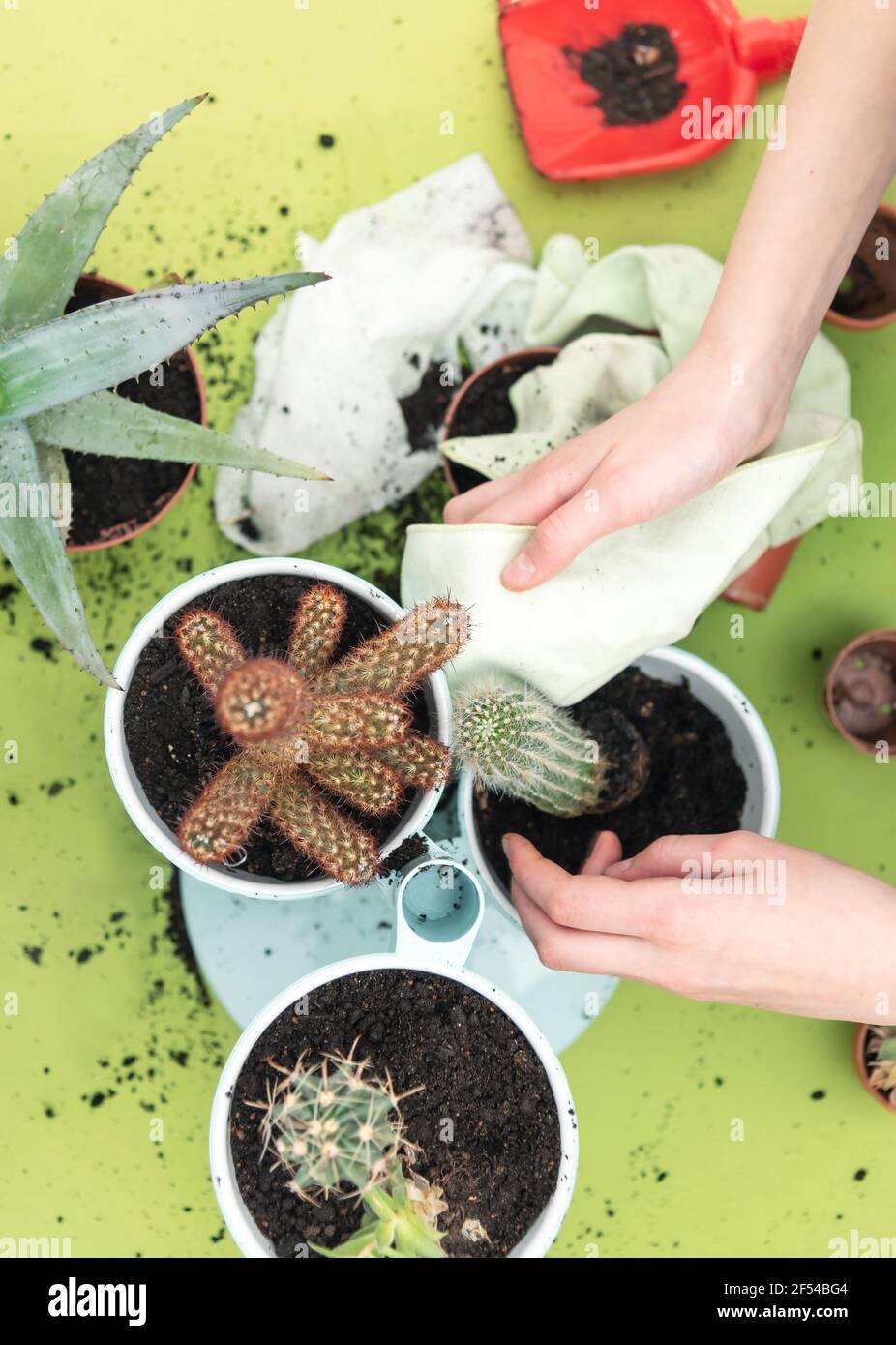 Spare time and favourite hobby activity Stock Photo - Alamy