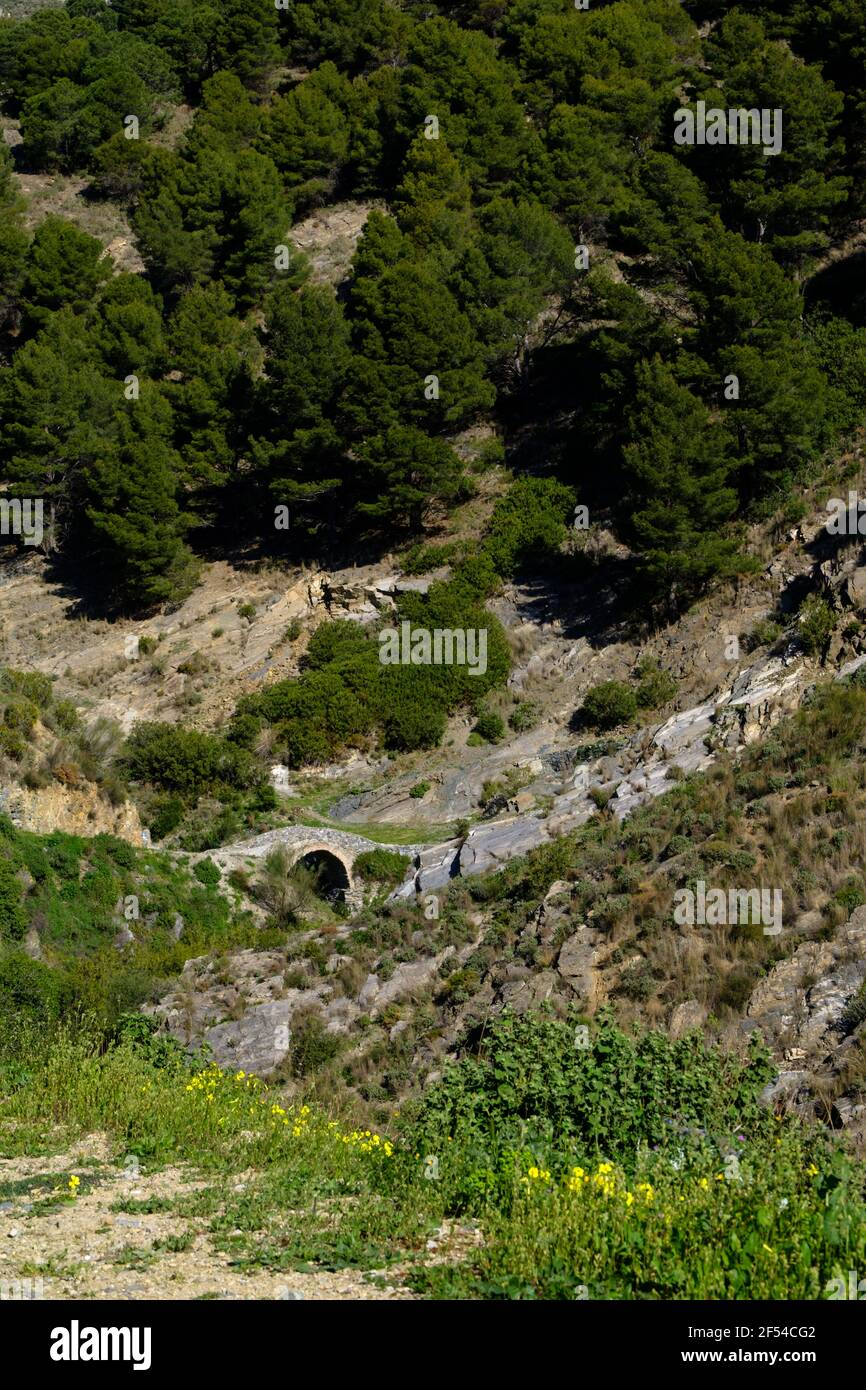 The roman bridge near the village of Sedella, Axarquia, Andalucia ...