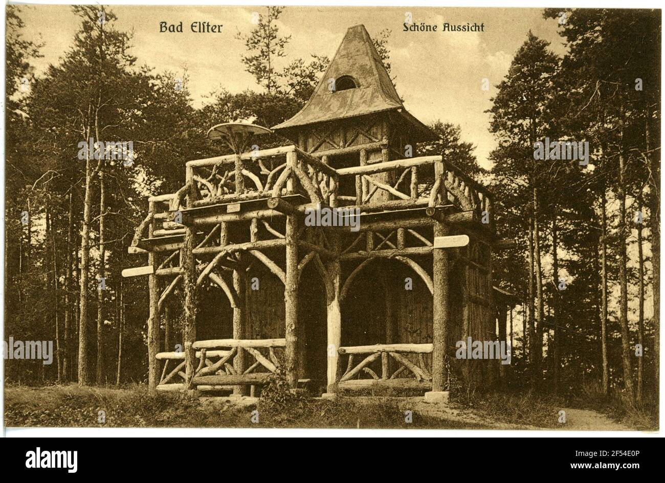 Beautiful forests landscape Cut Out Stock Images & Pictures - Alamy