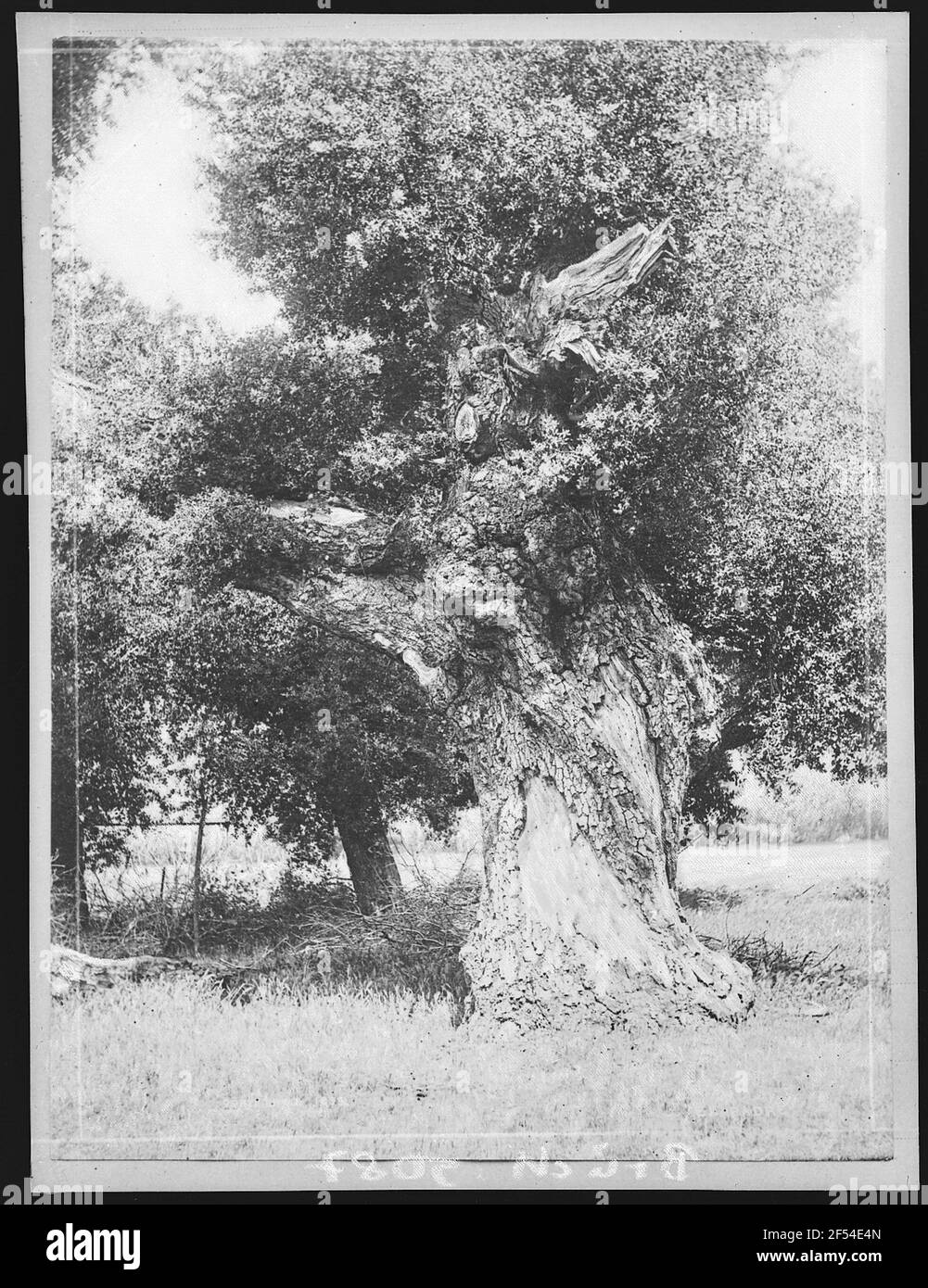 Father and family Black and White Stock Photos & Images - Alamy