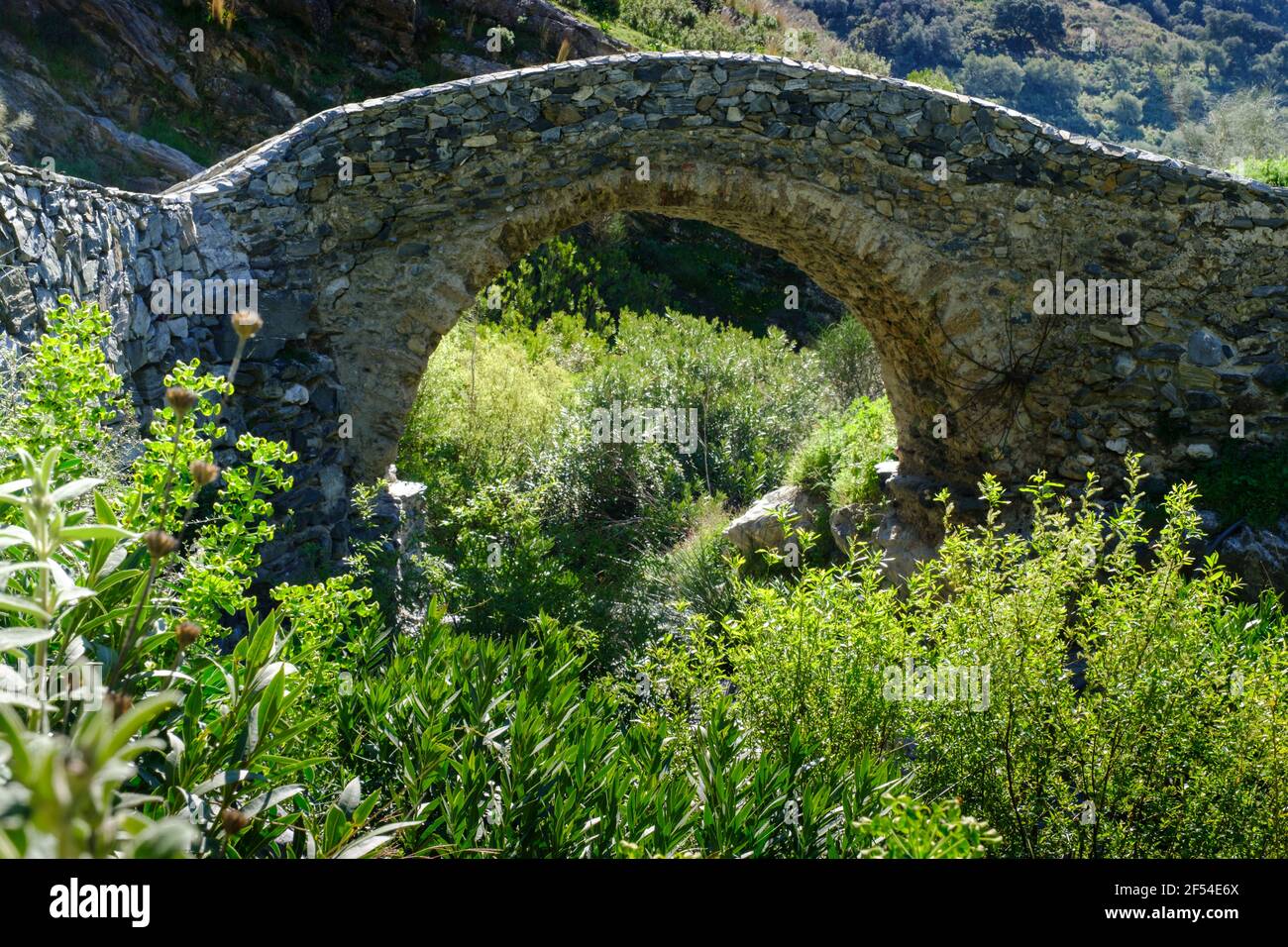 The roman bridge near the village of Sedella, Axarquia, Andalucia ...