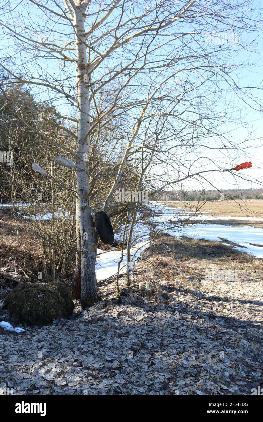 Harmful to environment hi-res stock photography and images - Alamy