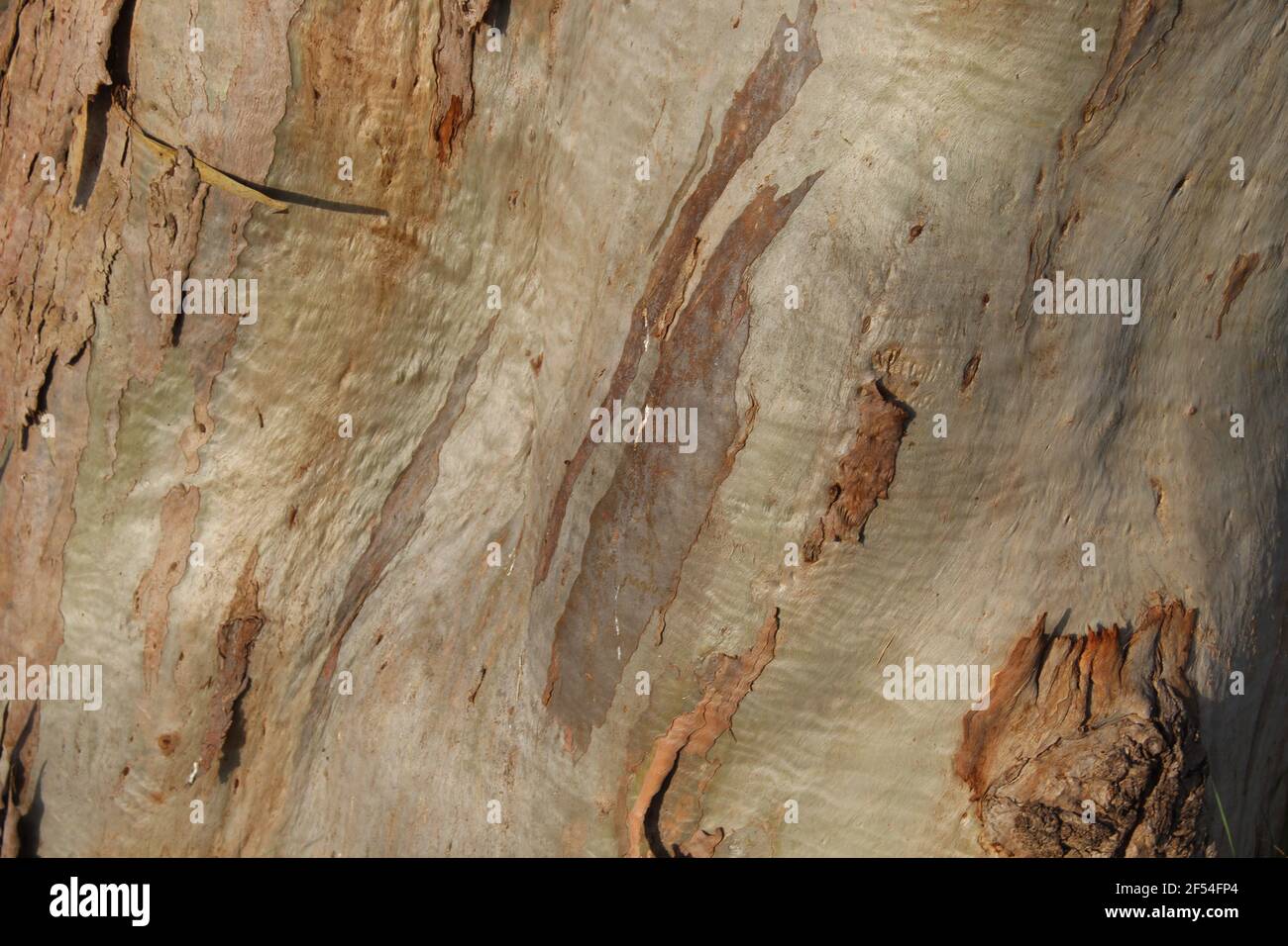 Detailed pattern hi-res stock photography and images - Alamy