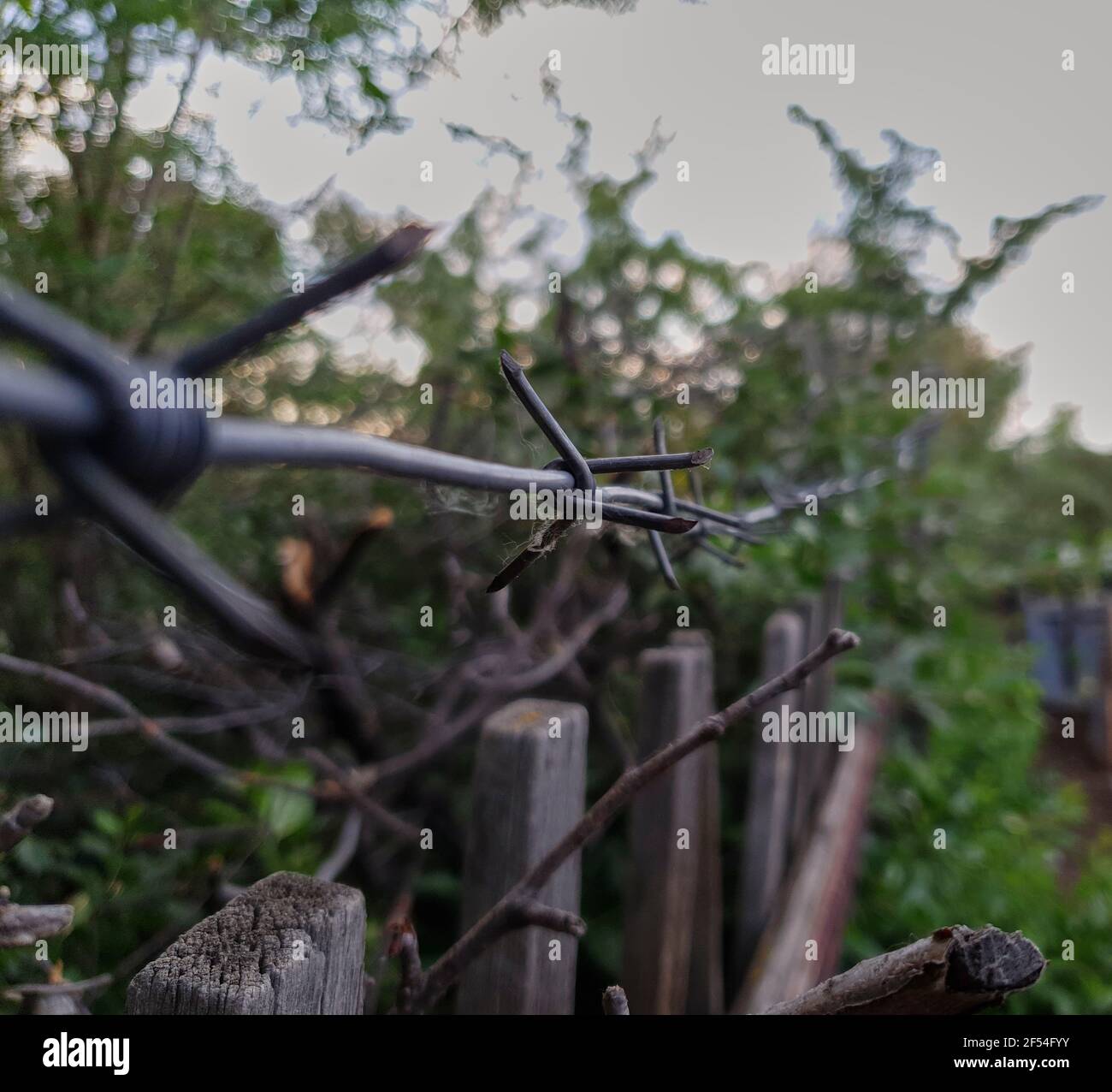 barbed wire stretched over the fence close-up Stock Photo - Alamy