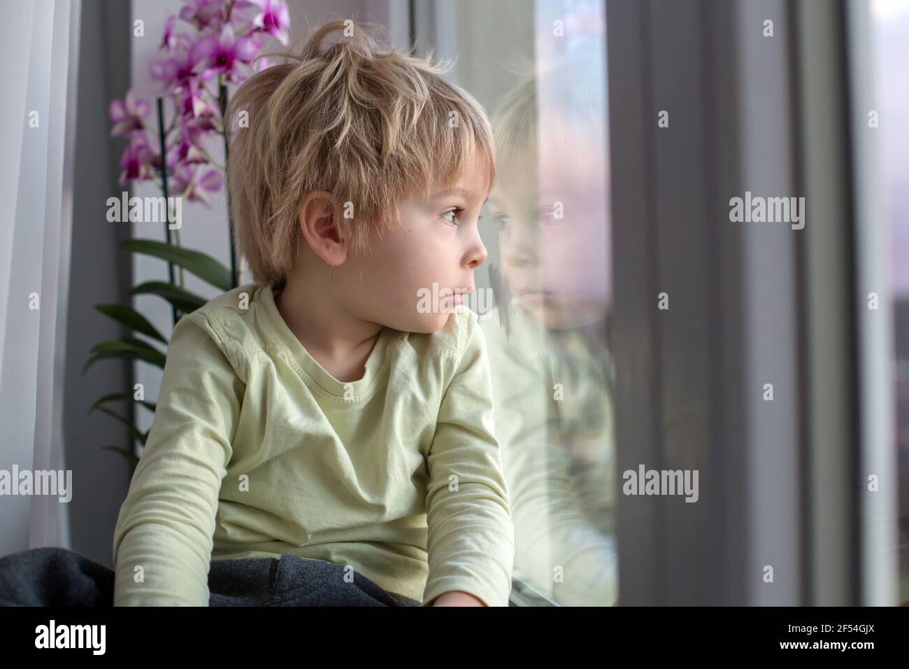 Blond toddler child, sitting on the window on sunset, looking out Stock ...