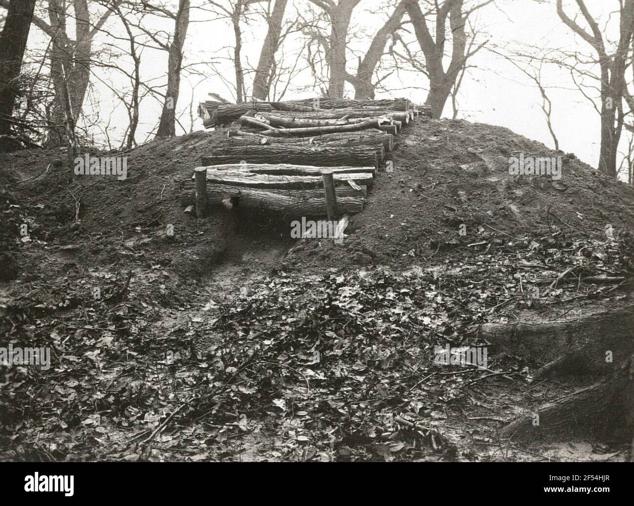 Biber habitat hi-res stock photography and images - Alamy