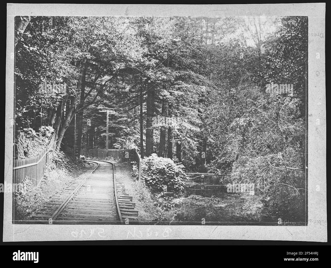Redwood valley railway hi-res stock photography and images - Alamy