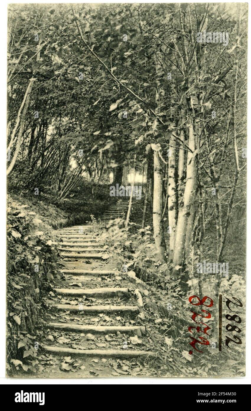 Portland culture Cut Out Stock Images & Pictures - Alamy