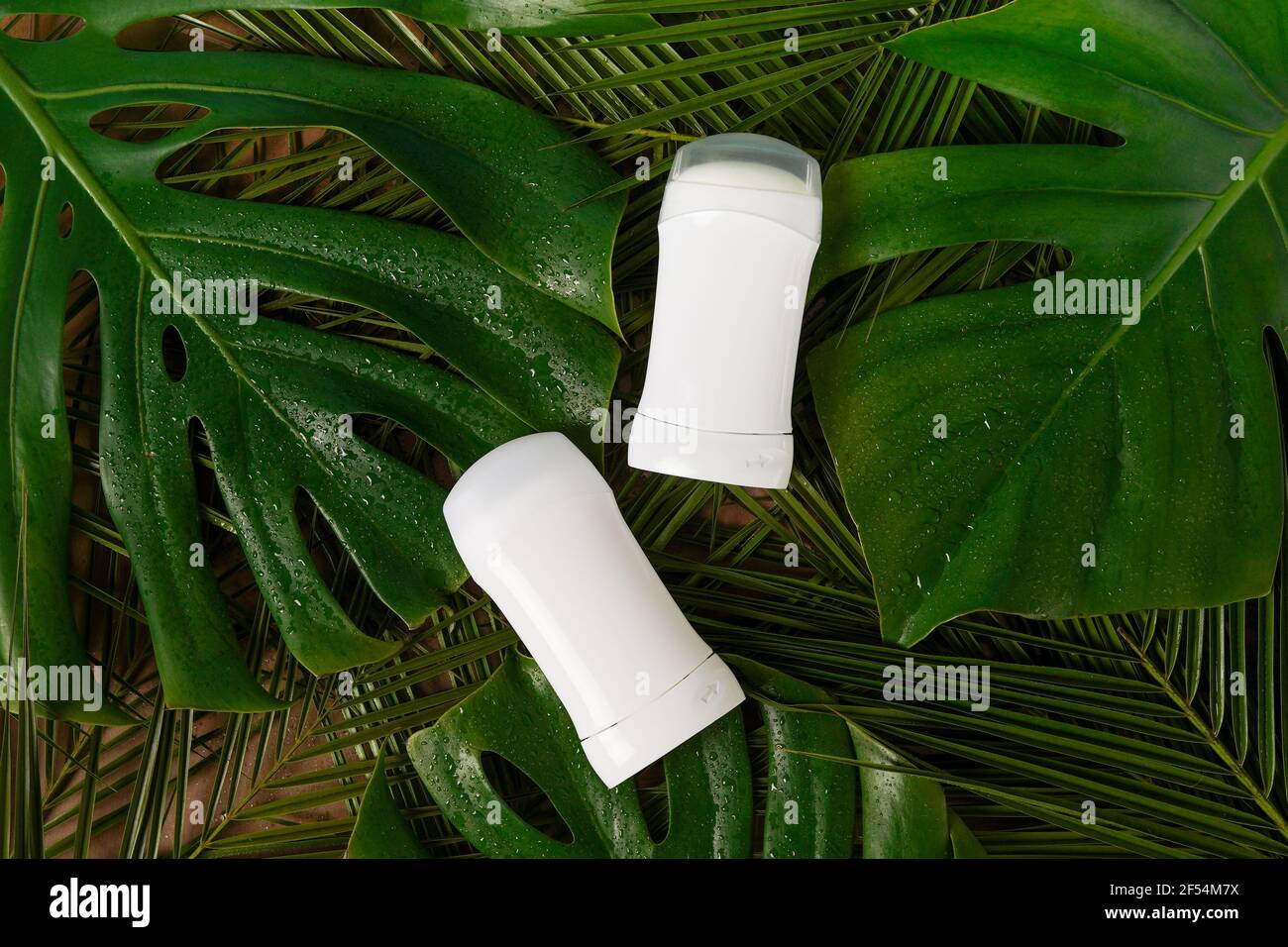 Deodorants or antiperspirants on green background with tropical palm ...