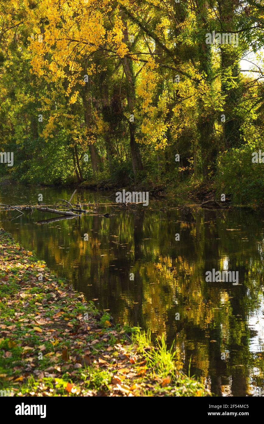 Autumn in French countryside. Calm water of Fusain river, France ...