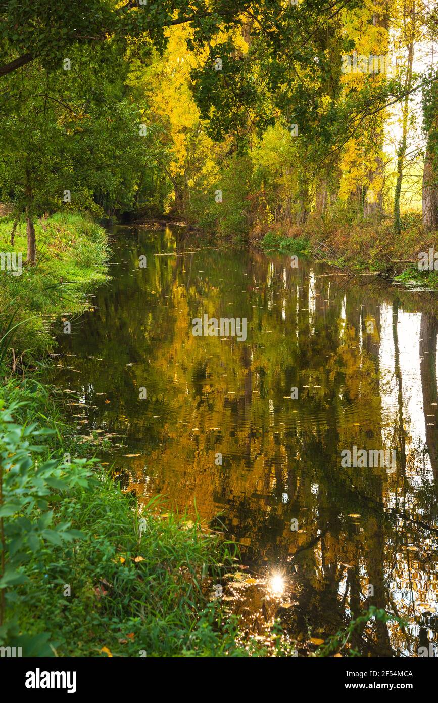 Autumn in French countryside. Calm water of Fusain river, France ...