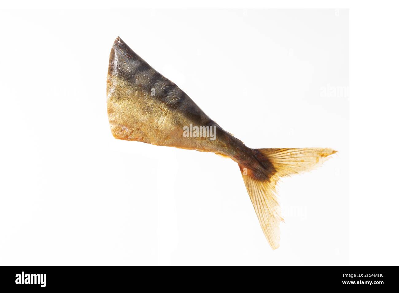 cut piece of smoked fish with tail isolated on white background. High ...