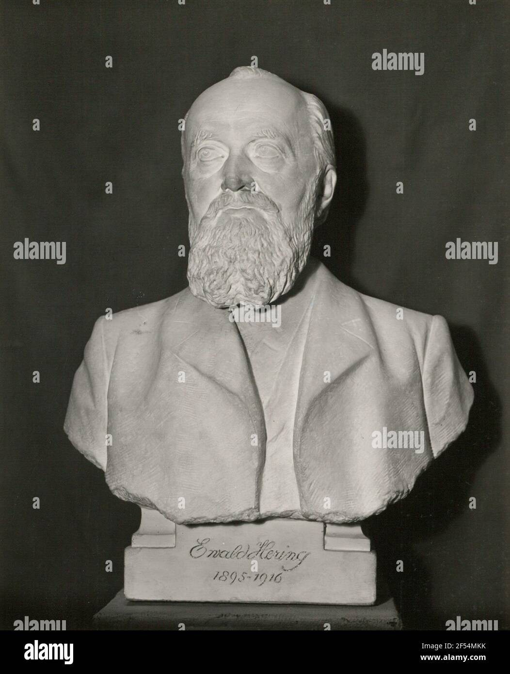 Ewald hering hi-res stock photography and images - Alamy