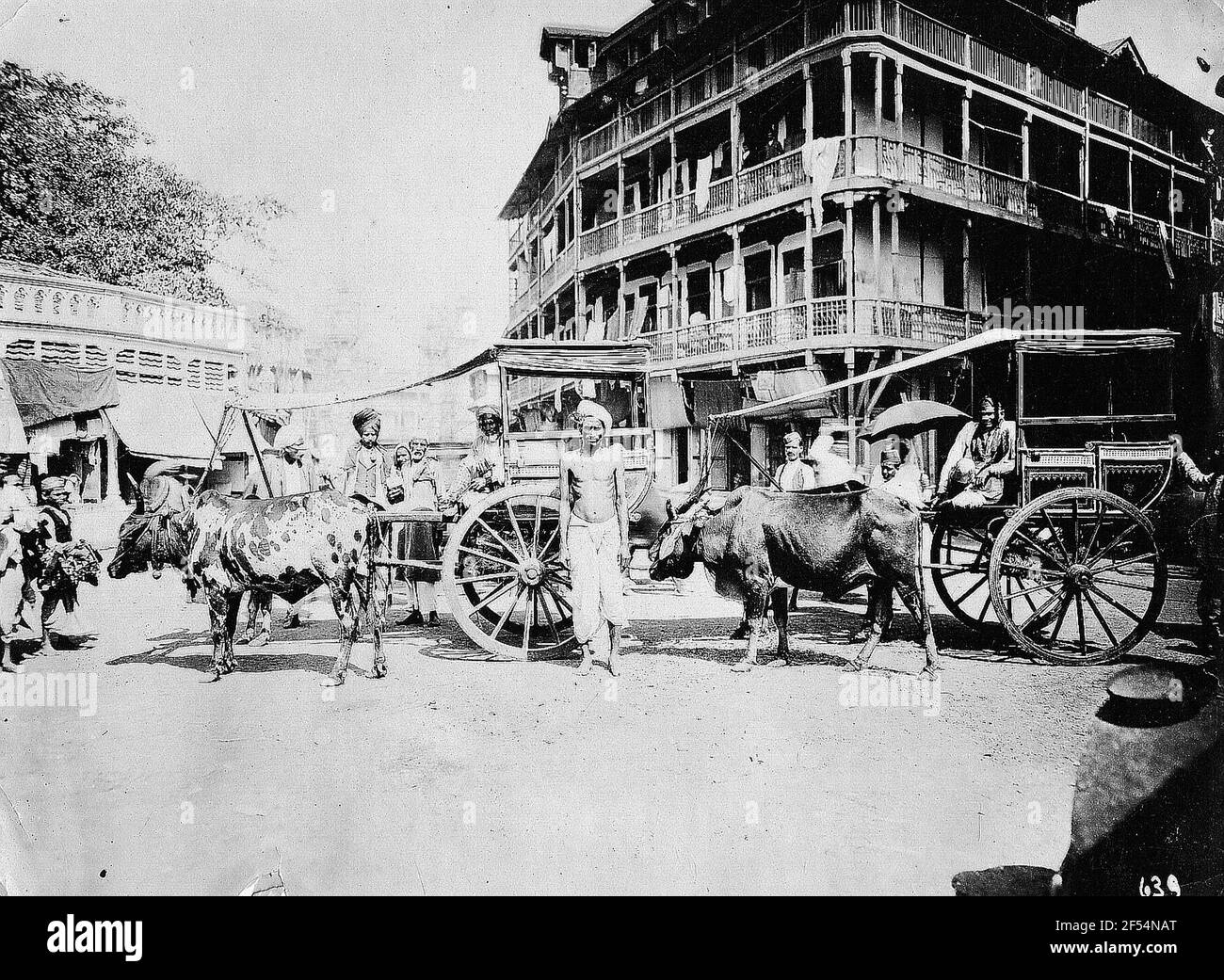 Bombay. Street scene with ox wire Stock Photo - Alamy