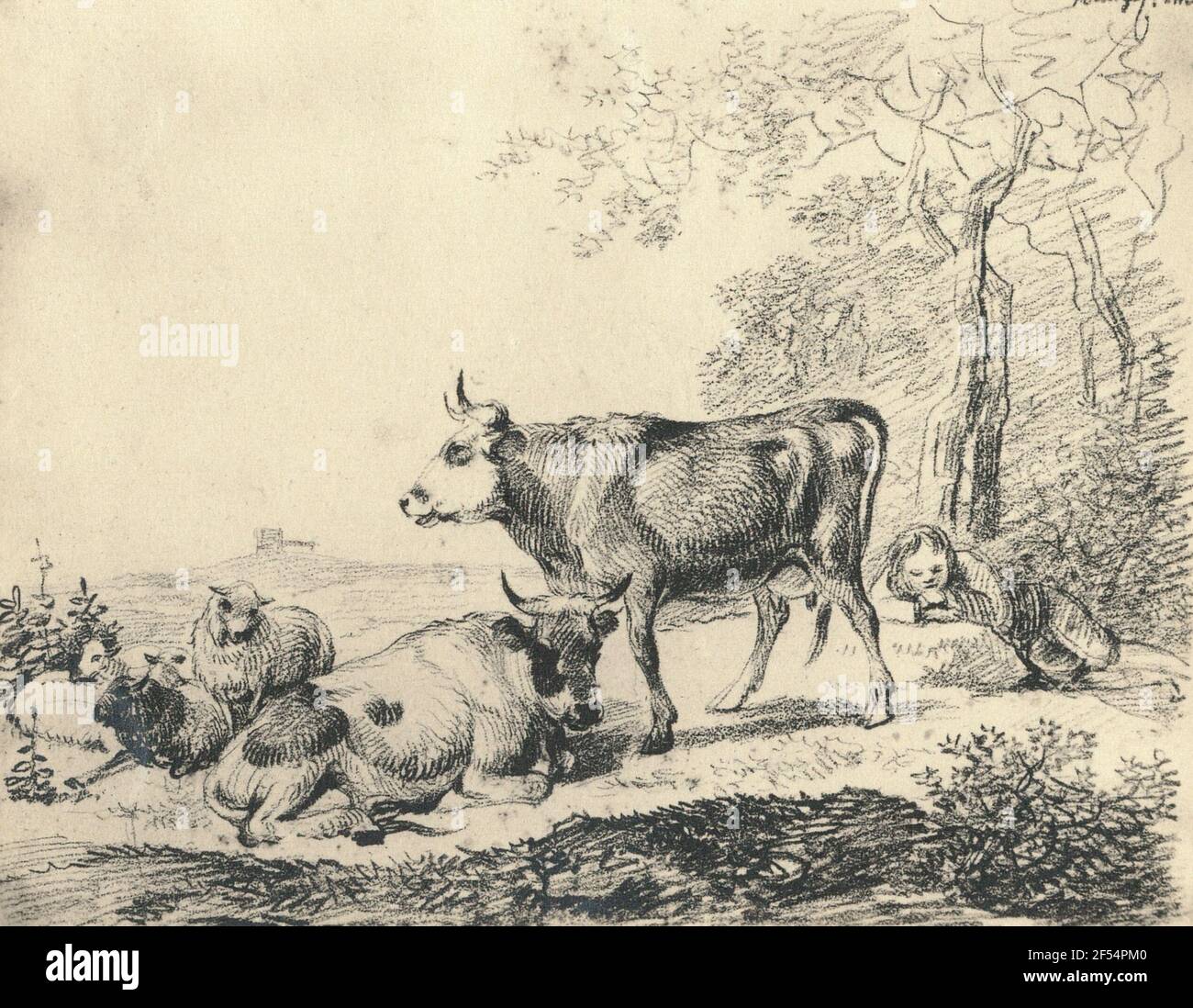 Shepherd with cows and goats Stock Photo - Alamy