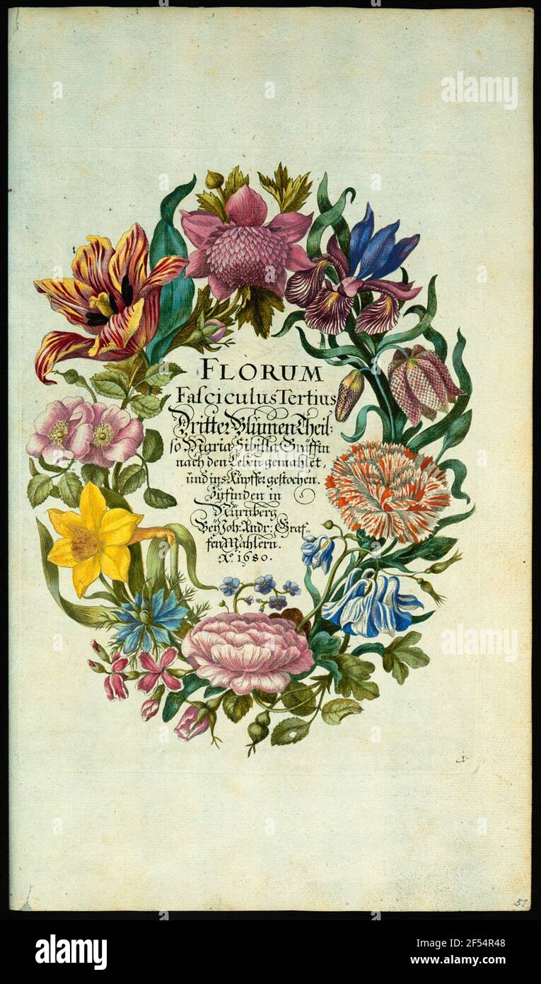 Titulus hi-res stock photography and images - Alamy