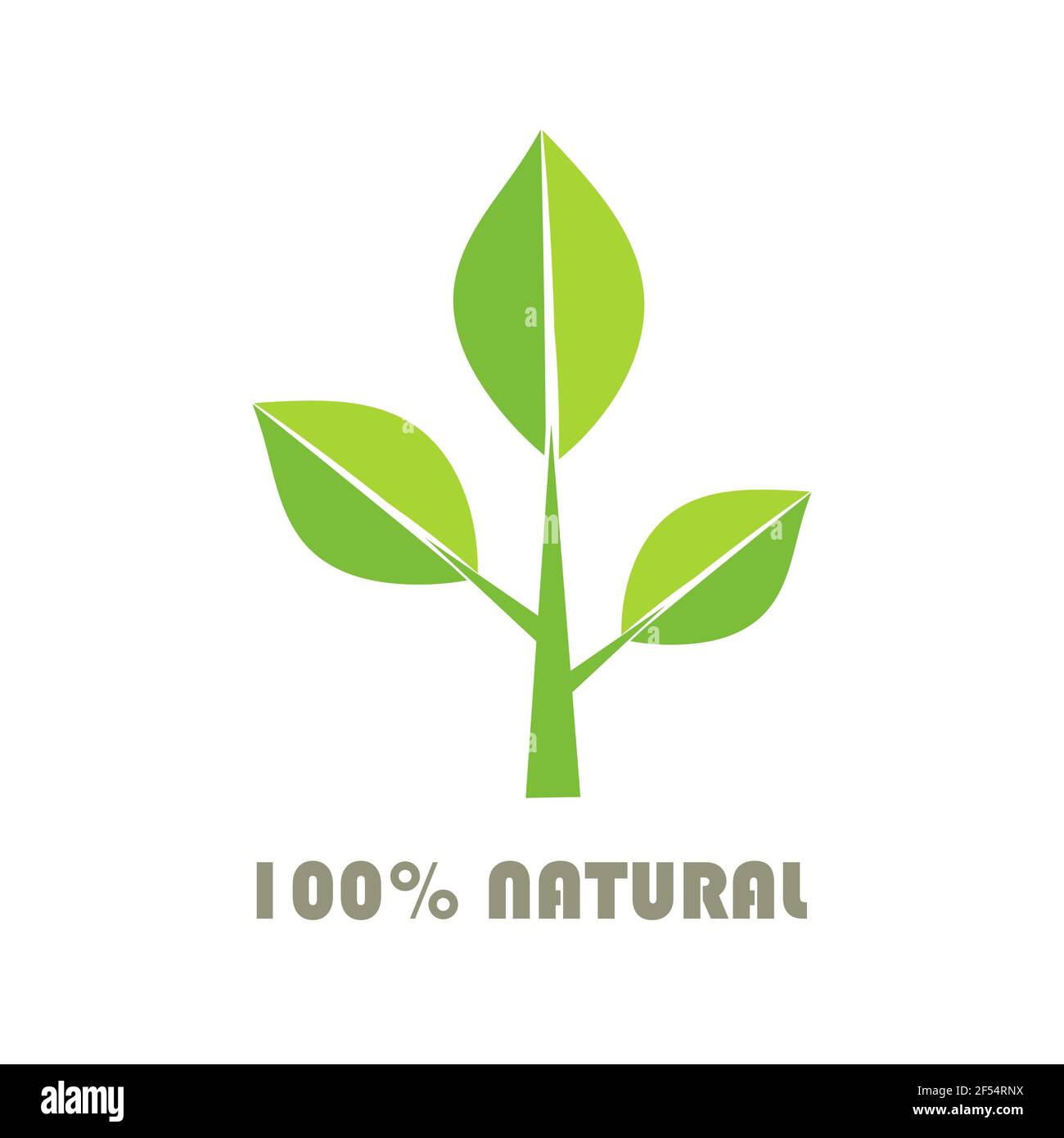 Natural plant symbol. Vector illustration Stock Vector Image & Art - Alamy