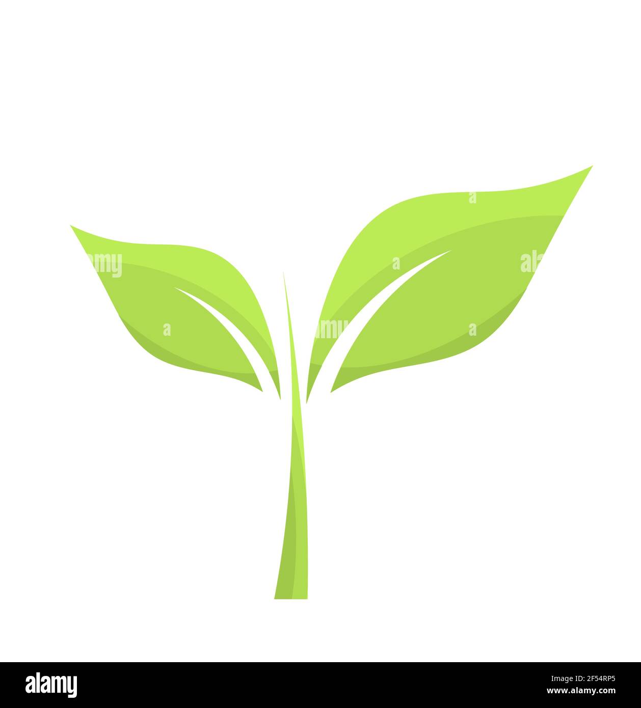 Little green plant. Vector illustration Stock Vector Image & Art - Alamy