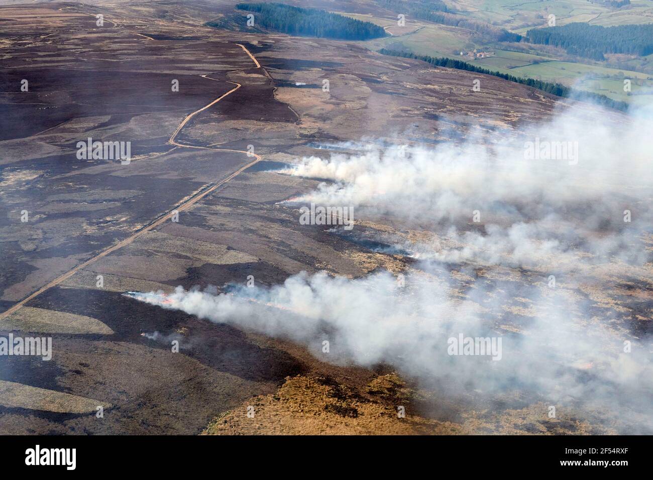 Heather burning on the North York Moors, North Yorkshire, northern ...