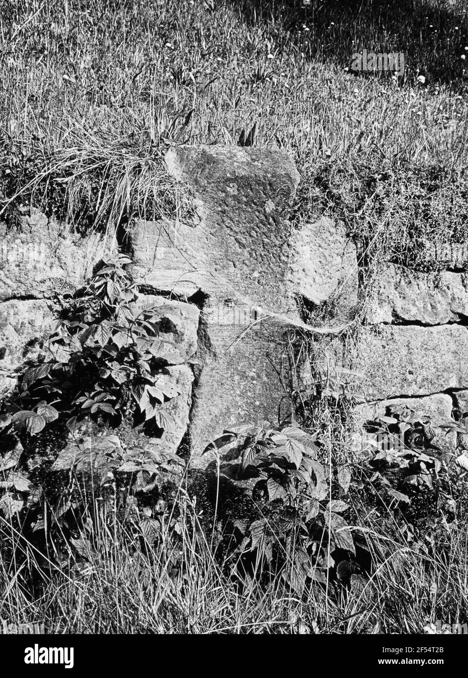 Bonnewitz, stone cross (paw cross) in a support wall at the Jessener ...