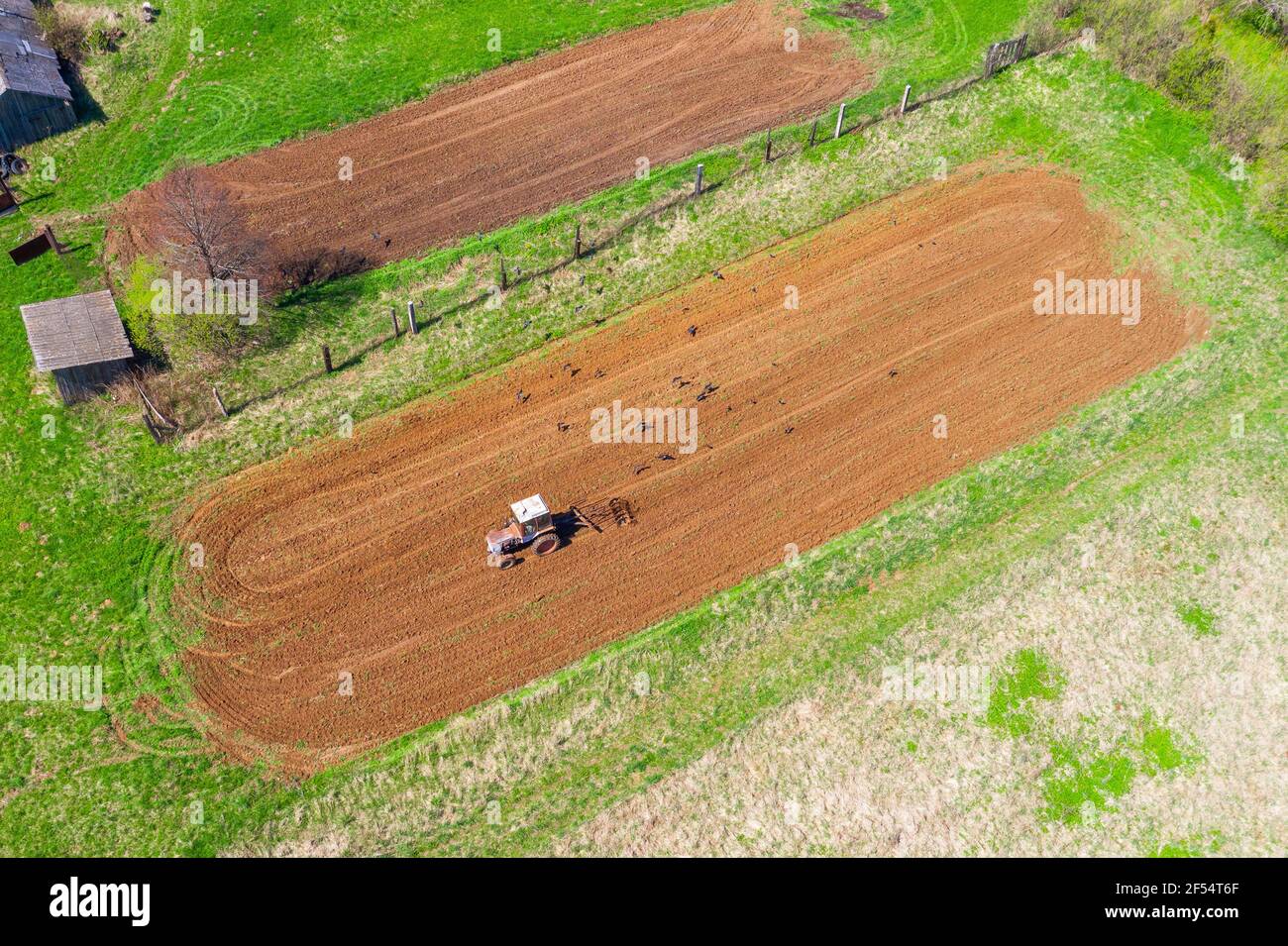 Spudding soil near row field vegetable plants using a tractor and ...
