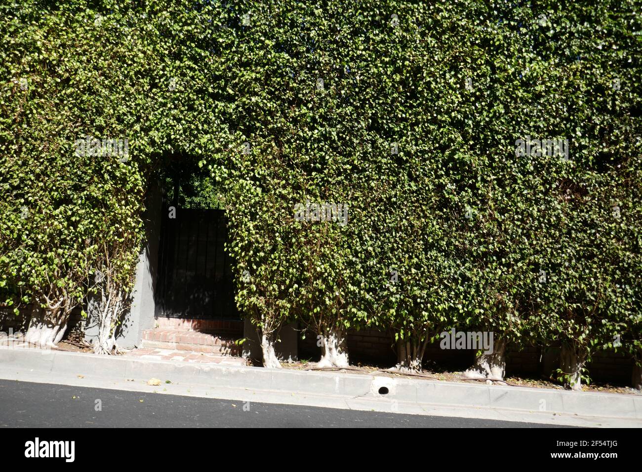 Beverly Hills, California, USA 23rd March 2021 A general view of ...