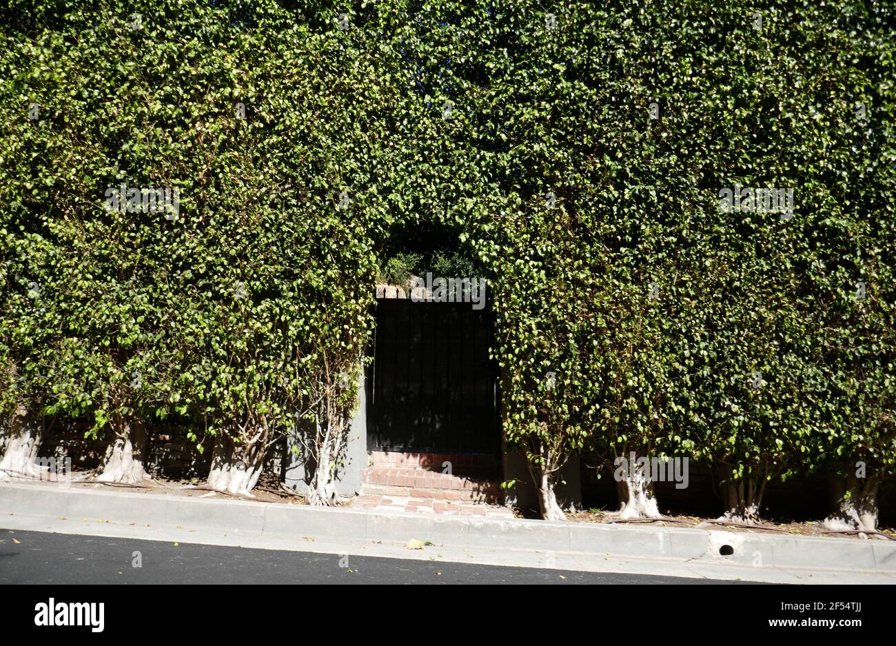 Juliet prowse hi-res stock photography and images - Alamy