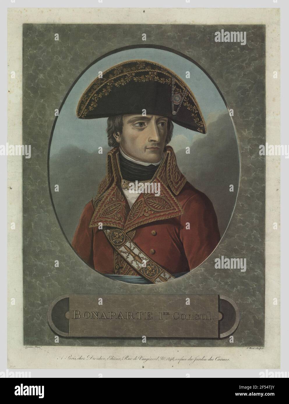 Portrait of Napoleon Stock Photo - Alamy