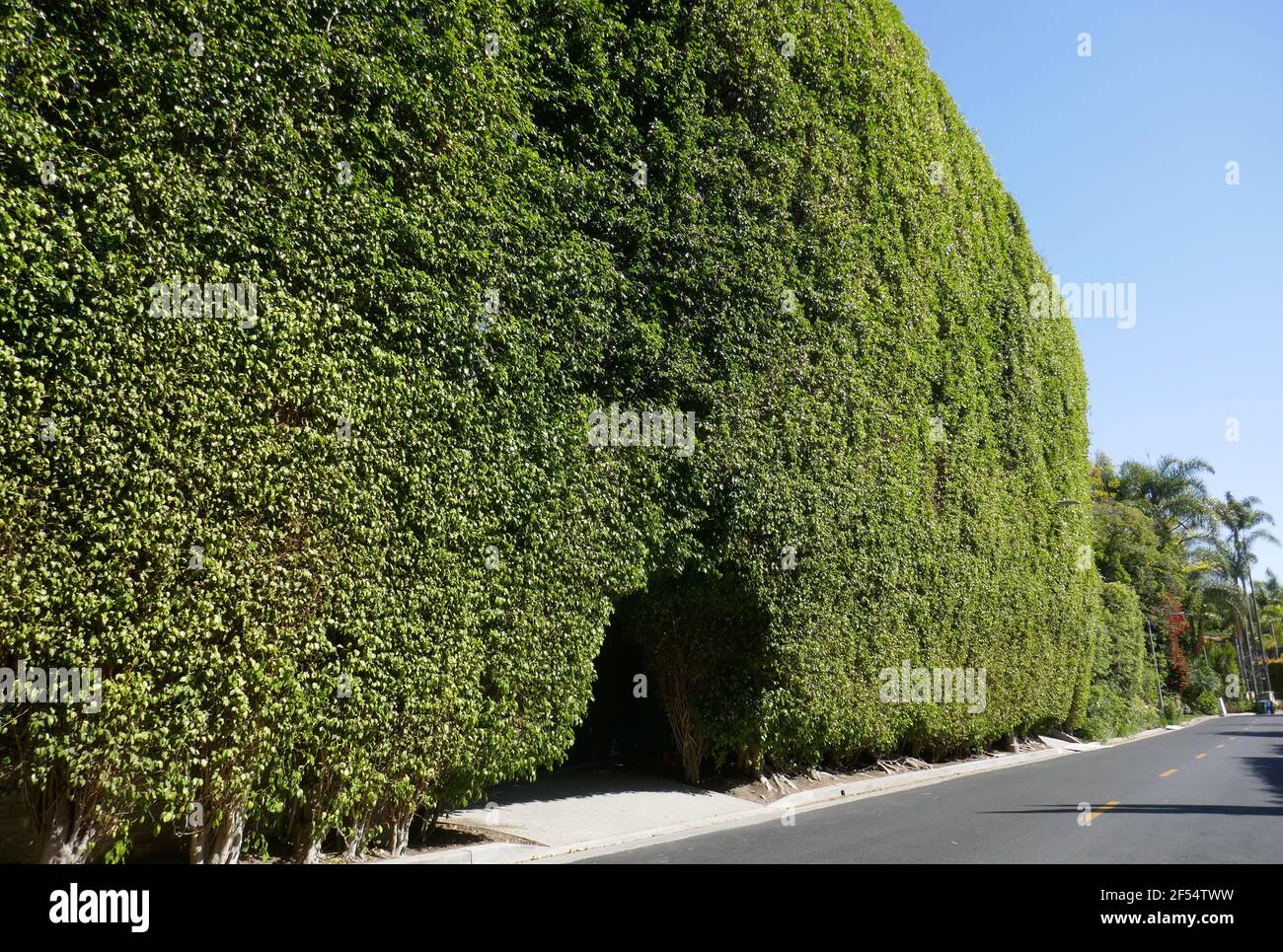 Beverly Hills, California, USA 23rd March 2021 A general view of ...