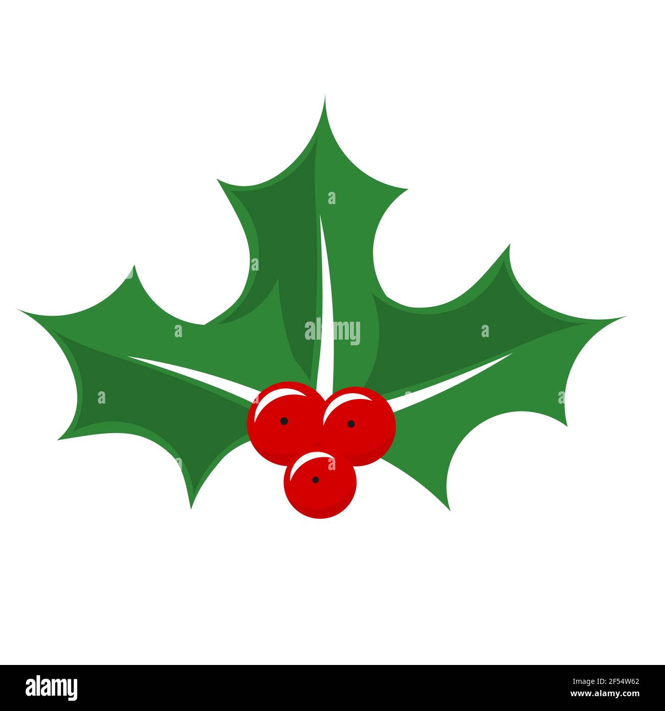 Christmas Holly berry. Vector illustration Stock Vector Image & Art - Alamy