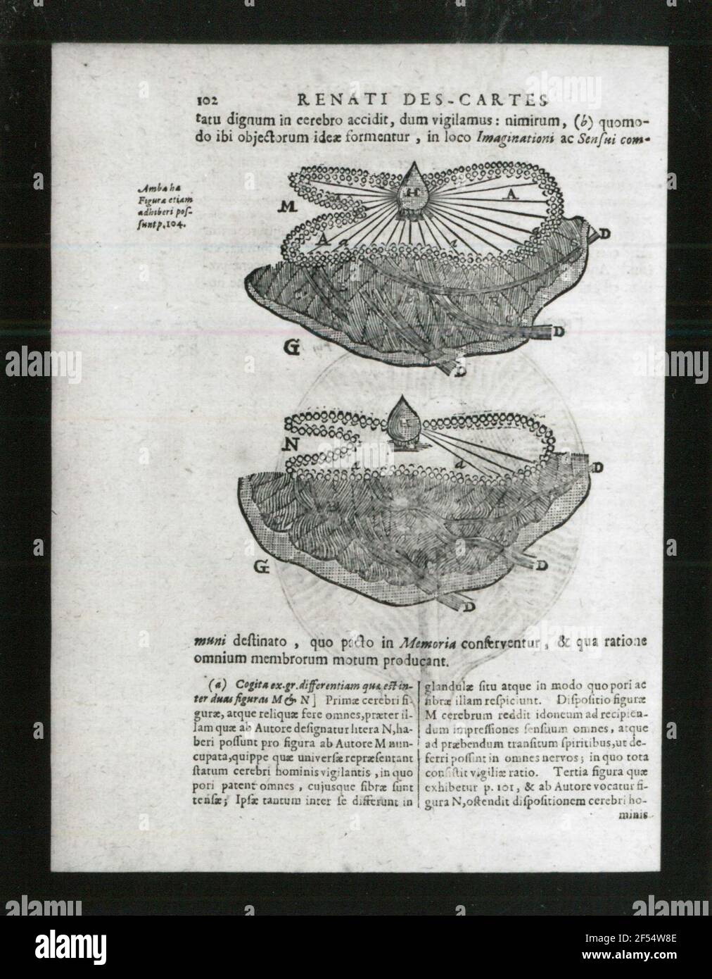 Rene descartes 1596 1650 hi-res stock photography and images - Alamy