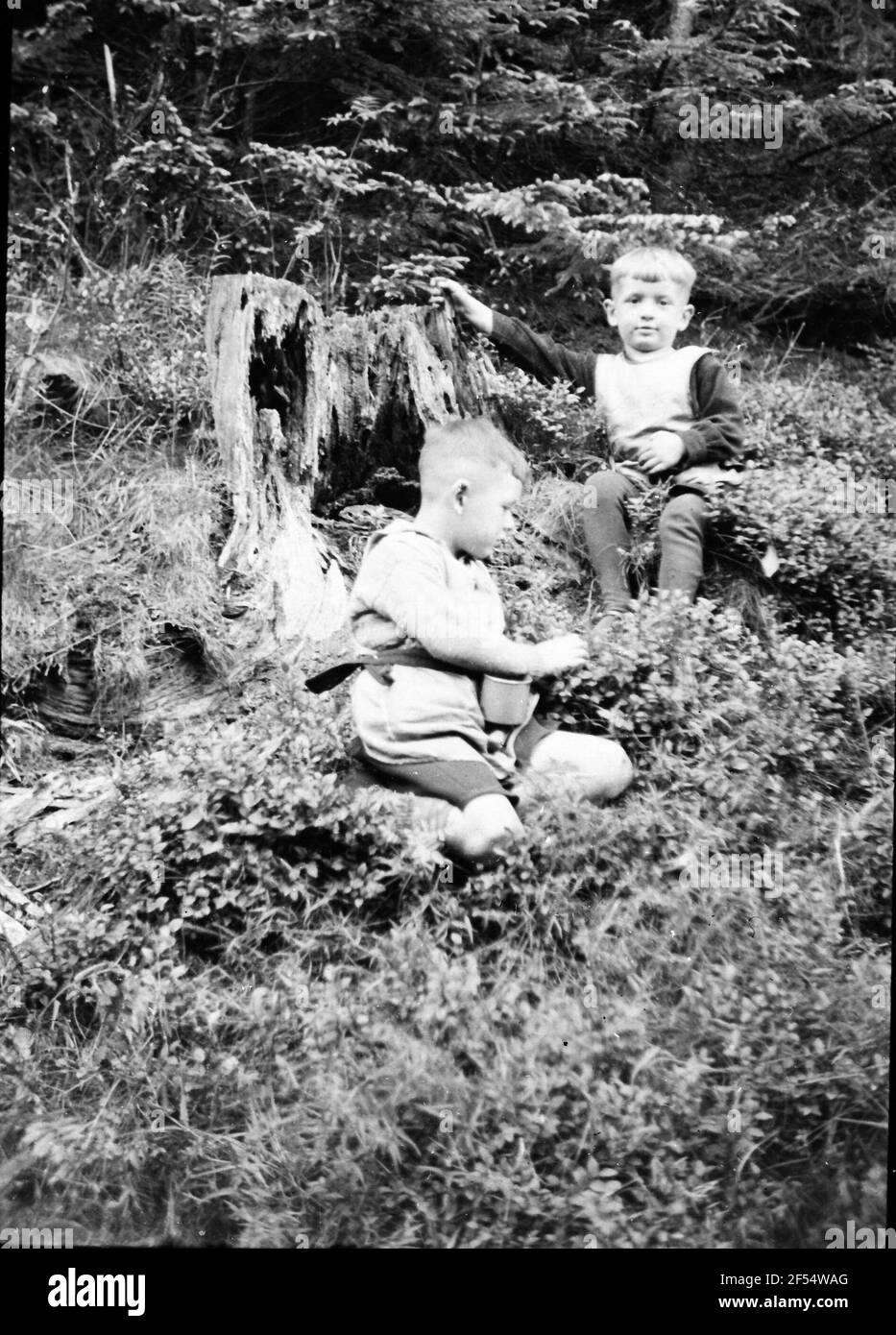 Nature walk children Black and White Stock Photos & Images - Alamy