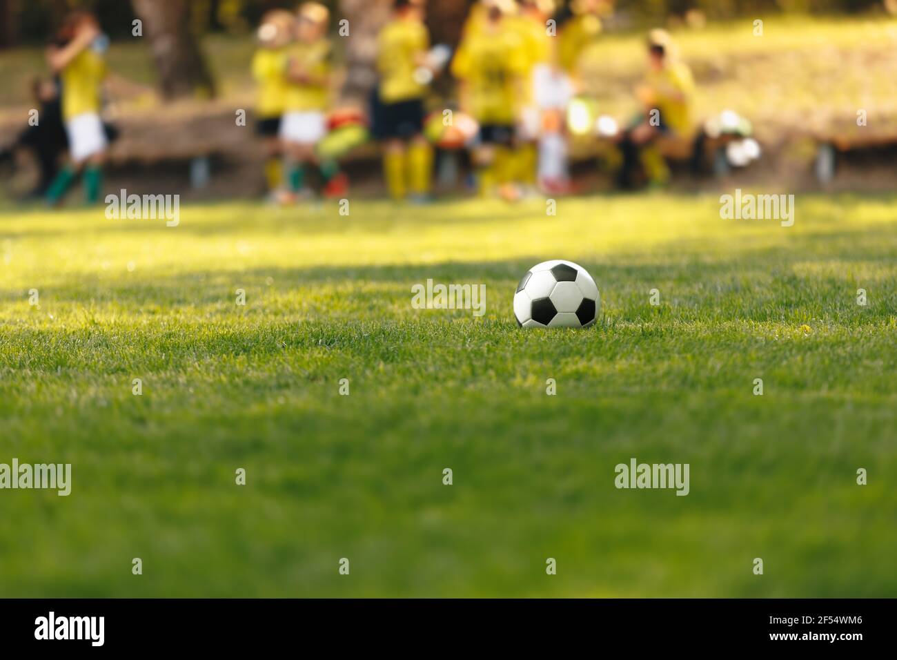 Soccer Ball on Grass Field. Classic Old-school White and Black Soccer ...