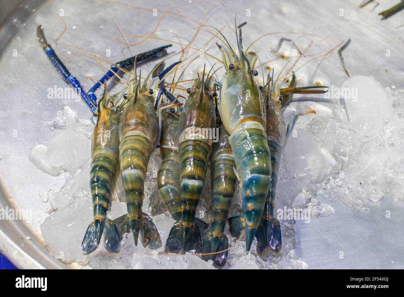High angle shot of fresh seafood prawns on a market in Thailand, Asia ...