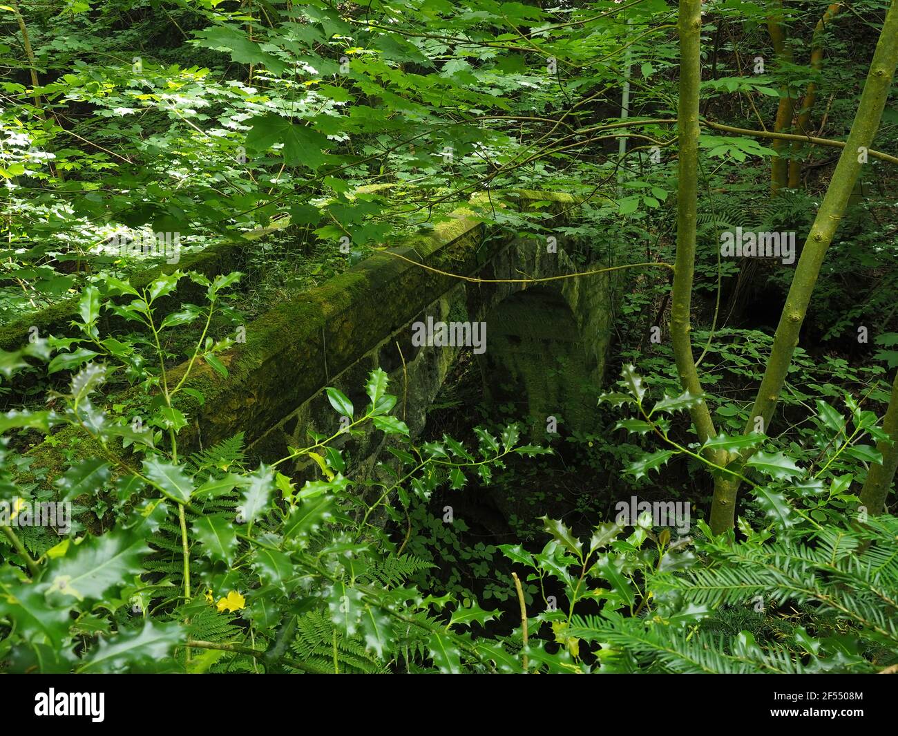 Moss covered bridge hi-res stock photography and images - Alamy
