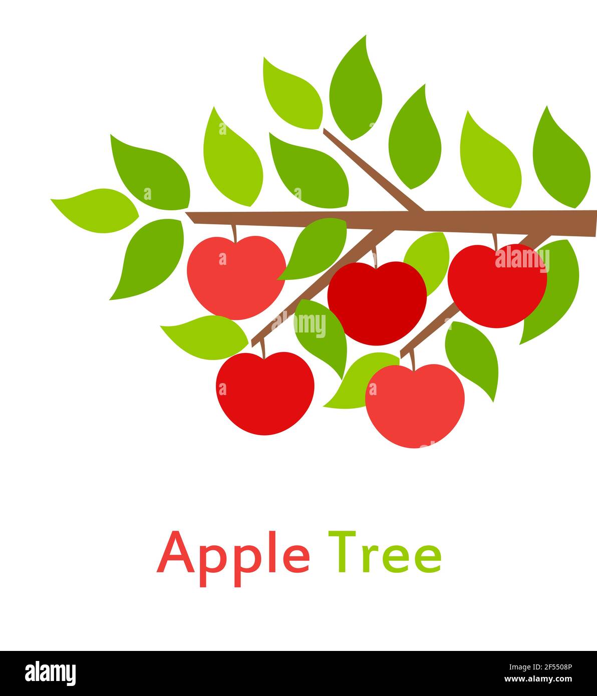 Apple tree branch. Vector illustration Stock Vector Image & Art - Alamy