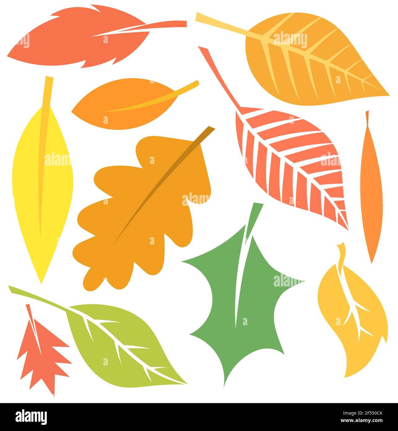 Autumn leaves different shapes Stock Vector Images - Alamy