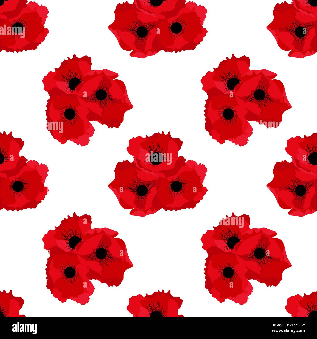 White poppy frame vector vectors hi-res stock photography and images ...